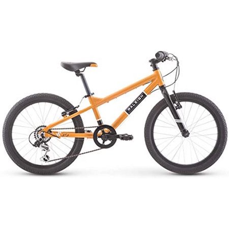 Diayung Bikes Rowdy 16/20/24 Kids Bike for Boys and Girls | Walmart Canada