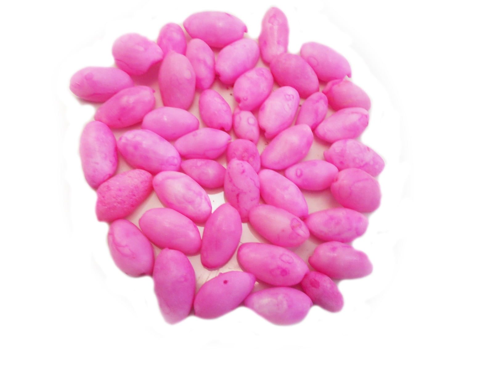 Set of 50 Small Pink Bubble Shells Dyed Seashells 3/4 - 1" (19-26 mm ...
