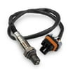 Holley EFI 554-101 Oxygen Sensor - Walmart.com
