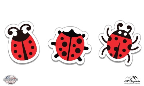 Cute Ladybugs Set of 3 - 8" Each Vinyl Stickers Waterproof Decals ...