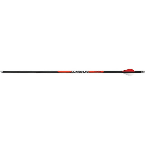 Black Eagle Carnivore Arrows .003 300 Blazer Vanes 6 pk. - Walmart.com