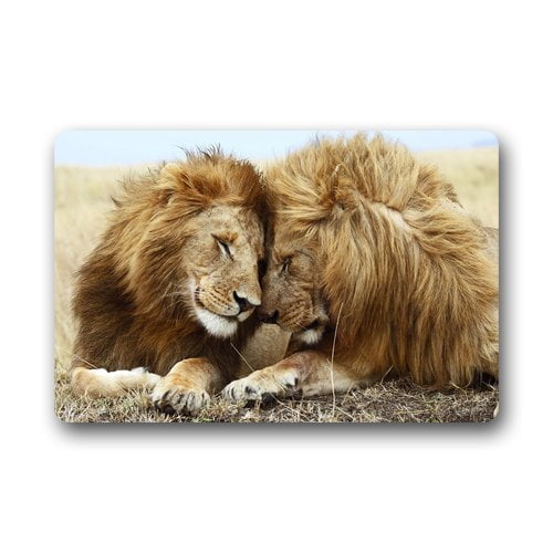 WinHome Two Magnificent Lion Doormat Floor Mats Rugs Outdoors/Indoor ...