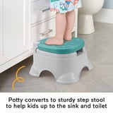 Fisher-Price 3-in-1 Toddler Potty Training Toilet, Ring, and Stepstool ...
