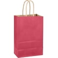 IYFFDFE-Bright Pink Gift Bag with Handles Bulk 24Pcs Paper Bags -8.3"x6 ...