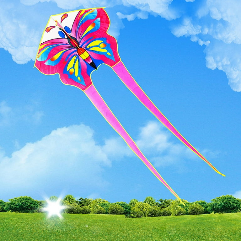 Kite Flying In Spring