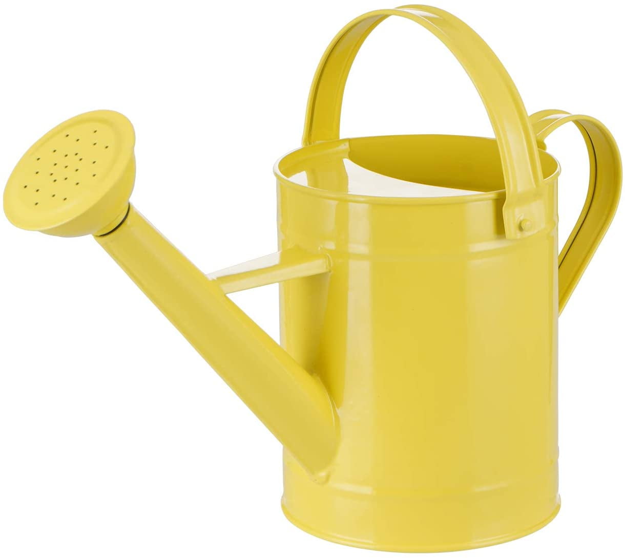 Watering Can Metal Watering Pot with Handle and Rosehead Modern Style ...