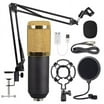 BM800 Condenser Studio Mic Kits: Starter Set, Professional Setup, Music ...