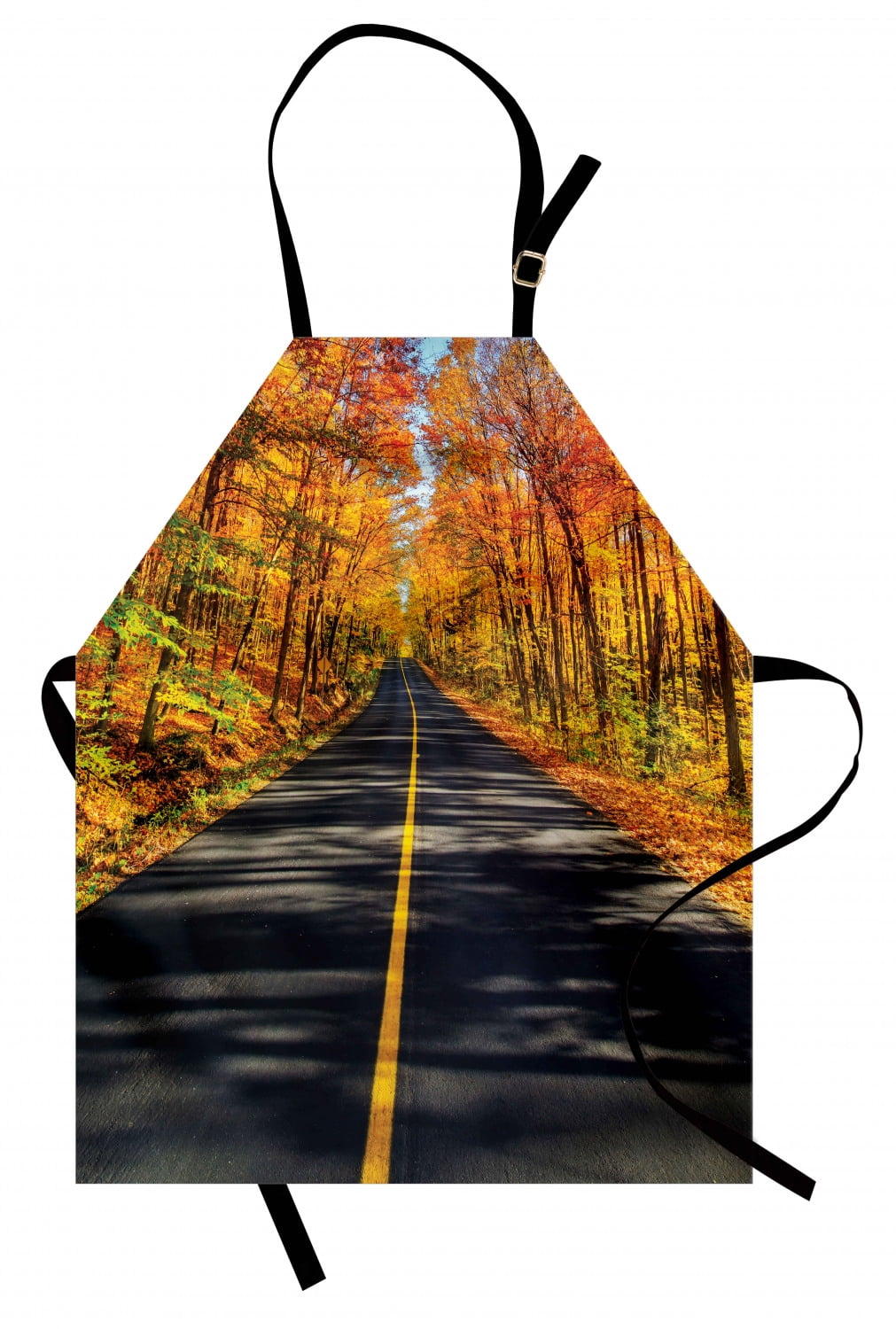Fall Apron Endless Rural Road Through Vibrant Treed Corridor Landscape ...
