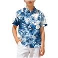 Back to School Outfits Boy's Hawaiian Shirt Short Sleeve Button Down ...