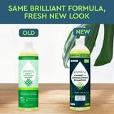 Puracy Natural Carpet & Upholstery Shampoo Fresh Citrus Safe Non-Toxic ...