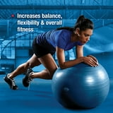 SPRI Weighted Stability Exercise Ball, 55cm, Blue - Walmart.com