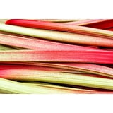 25 Seeds GLASKINS PERPETUAL RHUBARB (Pieplant) Rheum Rhabarbarum Fruit ...