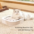 Cat Scratcher - Scratching Pad Ball Track Cat Toy for Indoor Cats, Cat ...