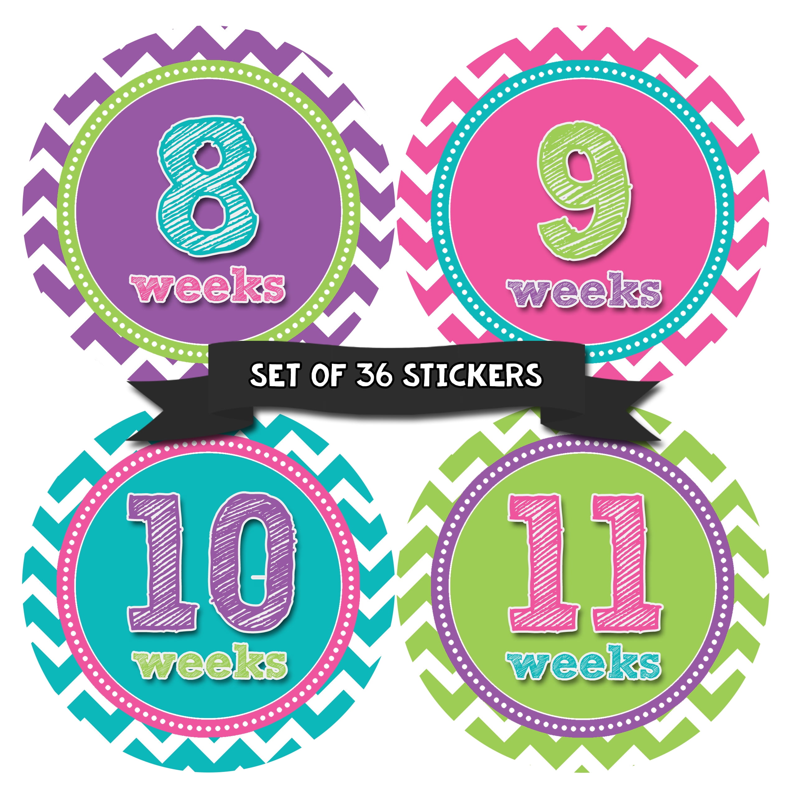 Months in Motion Pregnancy Week by Week Belly Stickers | Large Set of ...