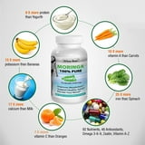 PURE MORINGA Improve Metabolism + Elevate Mood - Walmart.com