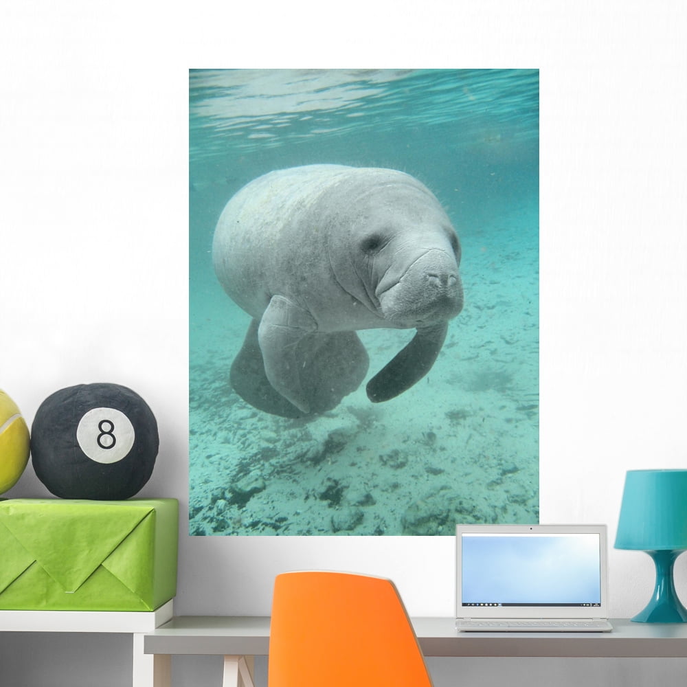 Manatee Sea Cow Cristal Wall Mural Decal by Wallmonkeys Vinyl Peel and ...