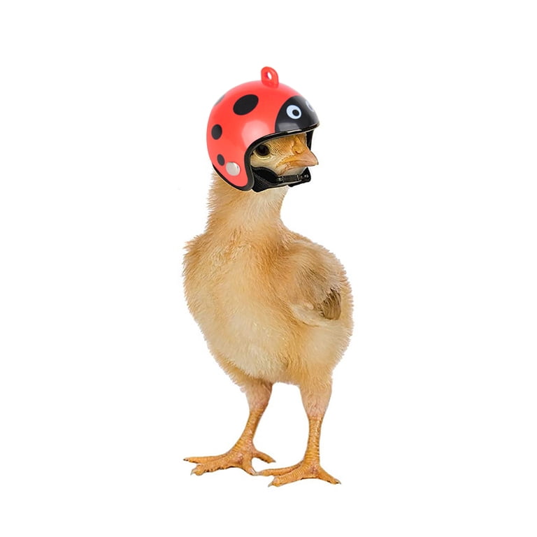 Birds With Dog Heads
