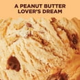 Reeses Peanut Butter Light Ice Cream 48 Oz