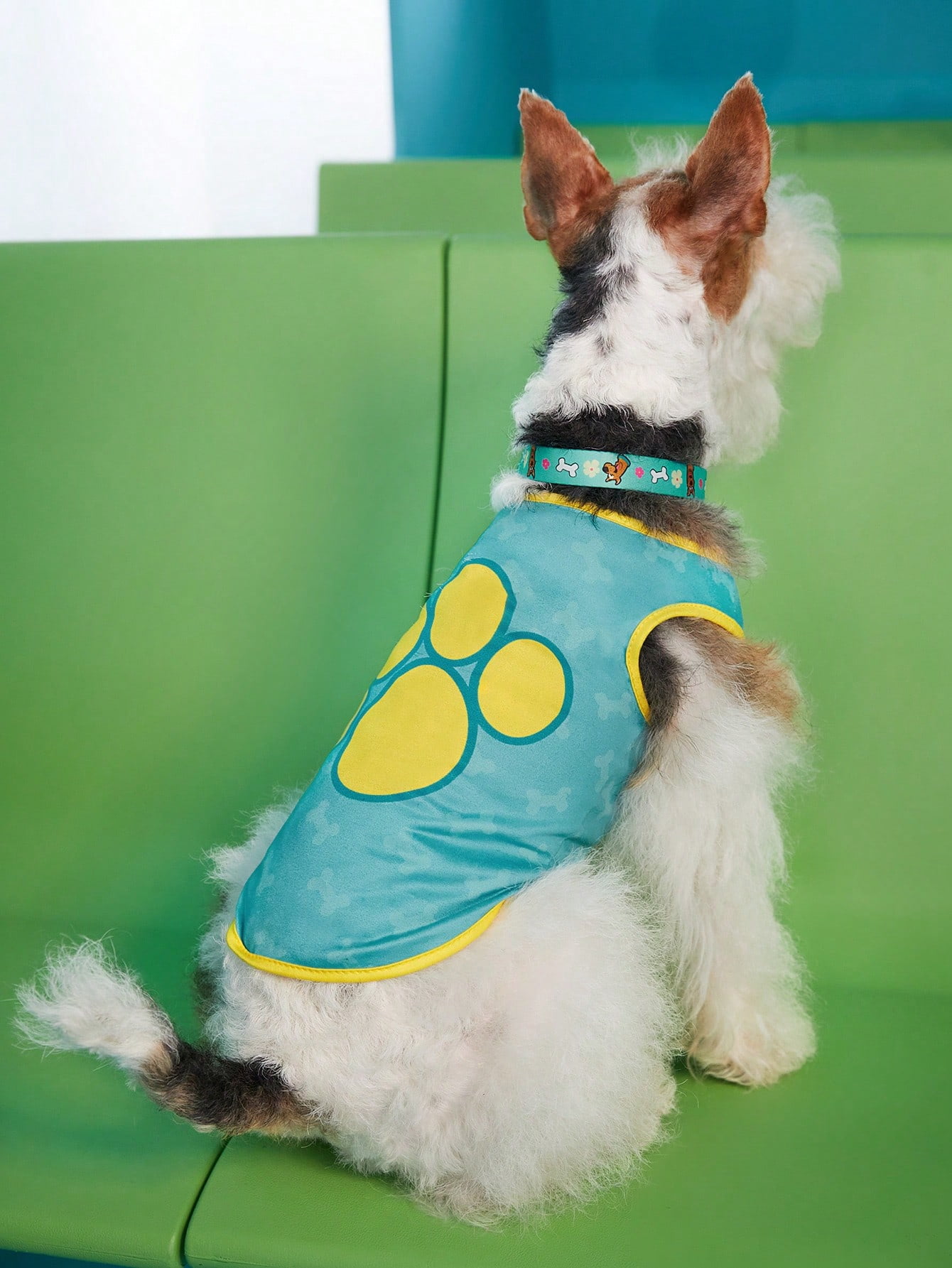 SCOOBY-DOO X SHEIN Green Vest With Cute Pet Footprint Design | Walmart ...