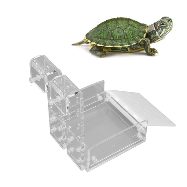 Basking Platform, Easy To Install Fish Aquarium Platforms Anxiety ...