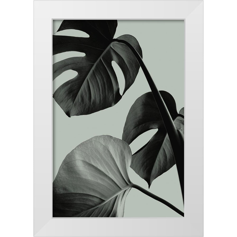 Artographie Studio 23x32 White Modern Wood Framed Museum Art Print ...