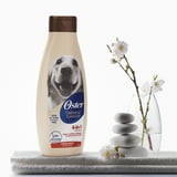 Oster Oatmeal Essentials 4-in-1 Dog Shampoo Conditioner, Grooming ...