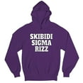 Skibidi Sigma Rizz Unisex Hoodie Funny Goat Gyatt Meme Zoomer Viral ...