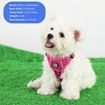 Yikeyo Dog Harness with 2 Leash Clips, Reflective Adjustable Padded ...