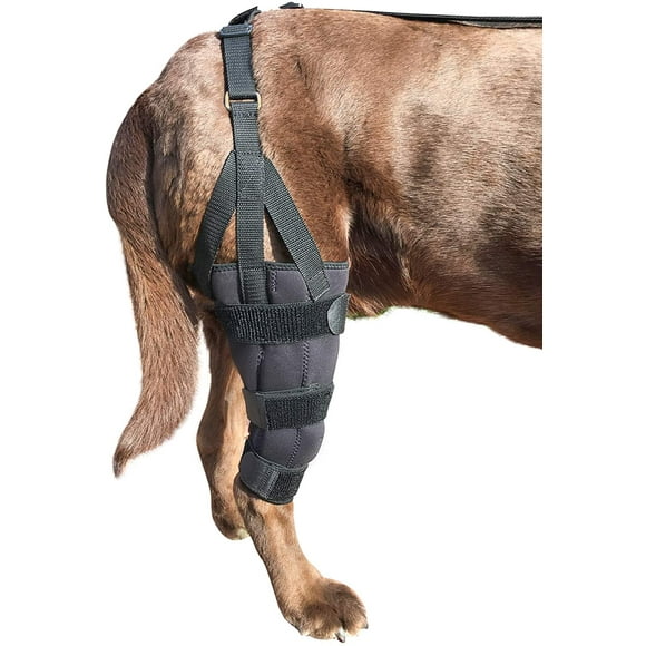 Luxating Patella Braces Dogs