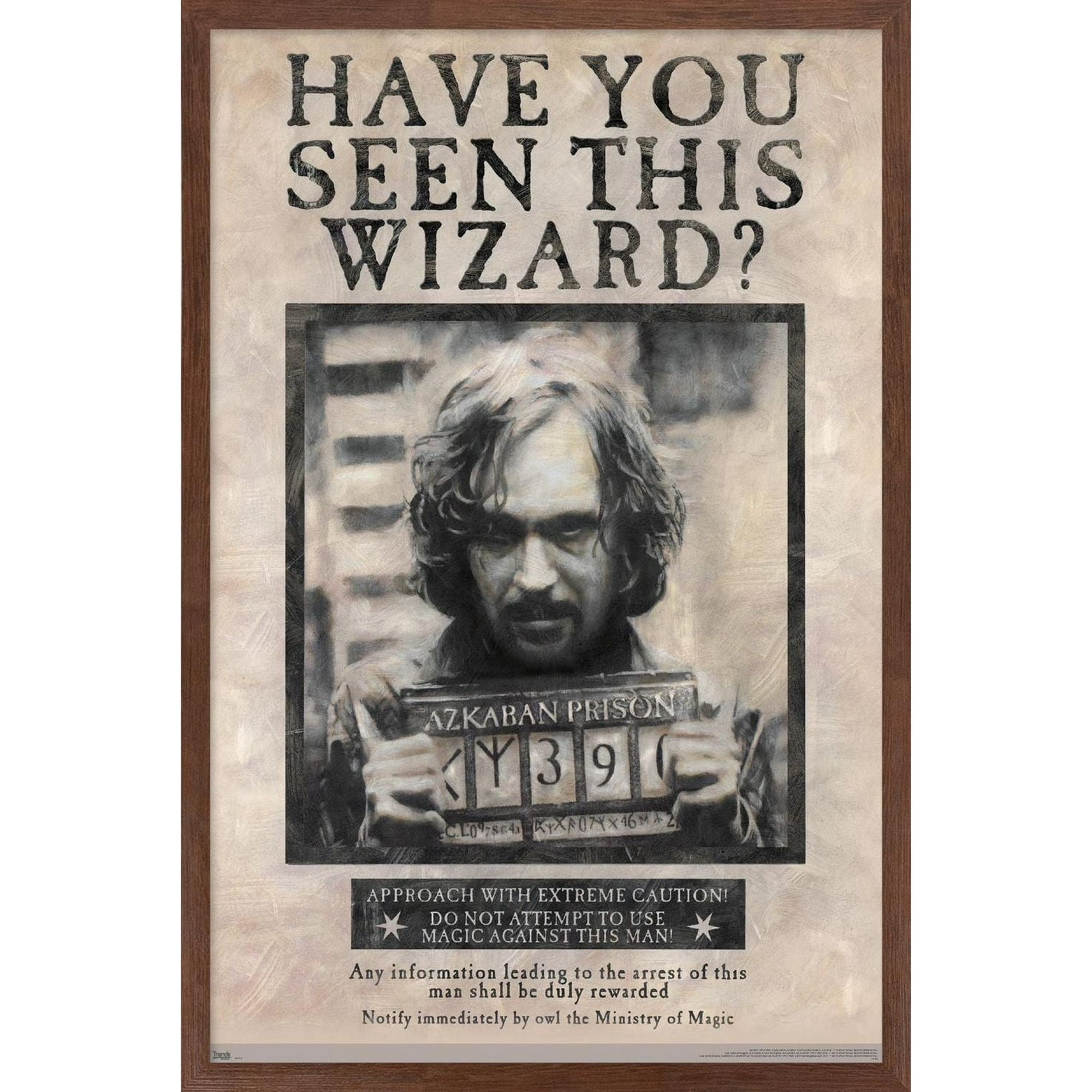 Click here for Trends International The Wizarding World: Harry Po... prices