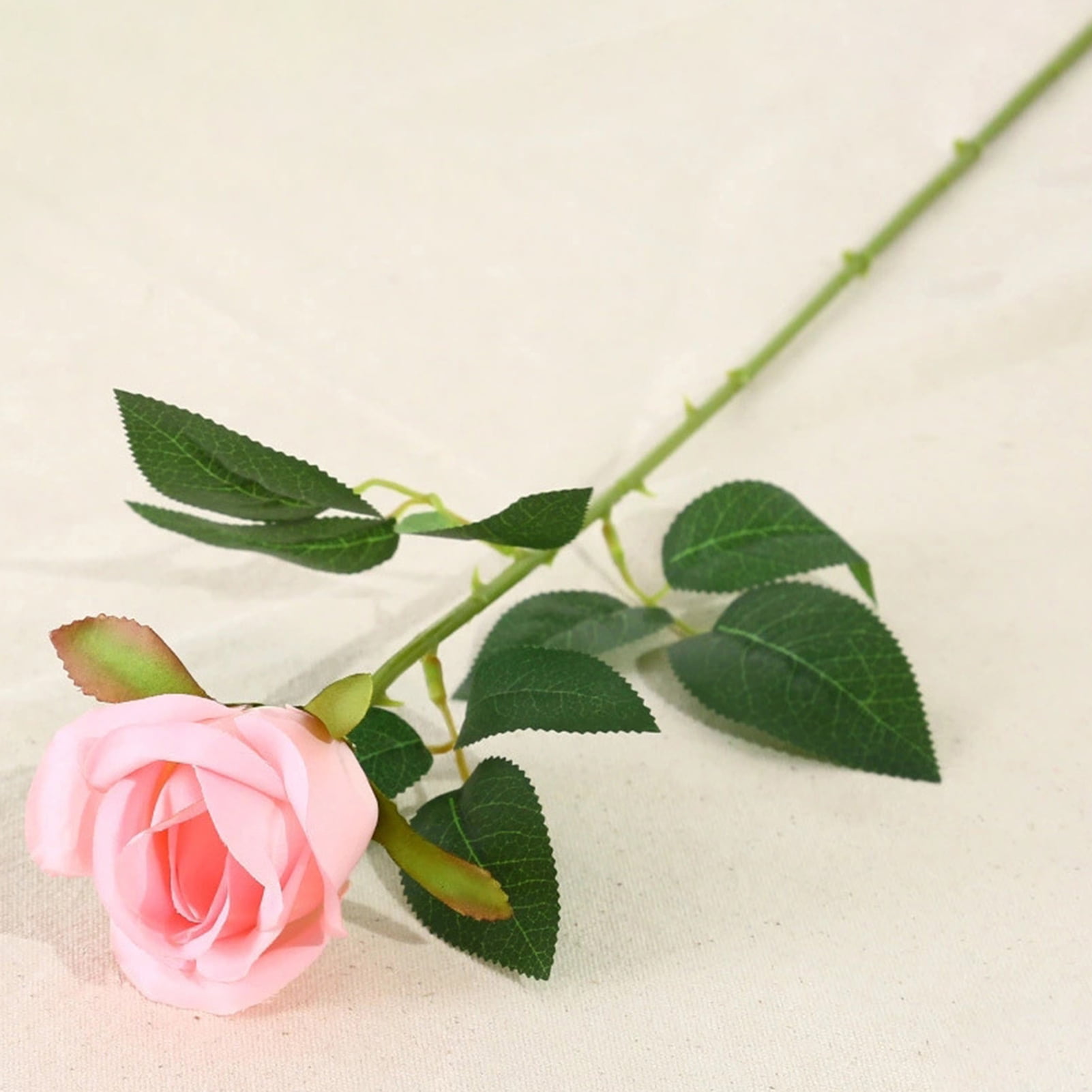 Beautiful Single Pink Roses