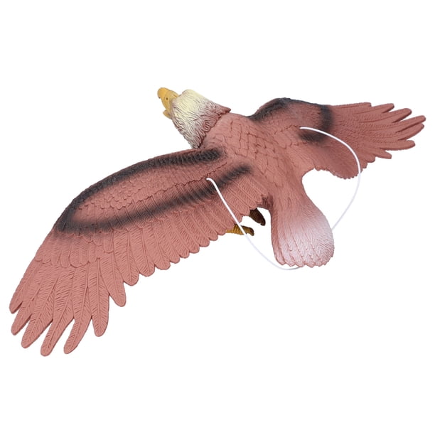 Desktop Eagle Model,Highly Simulation Eagle Model Simulation Eagle ...