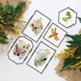Black-3 Hanging Pressed Flower Frames 3-Pack Double Floating Picture ...