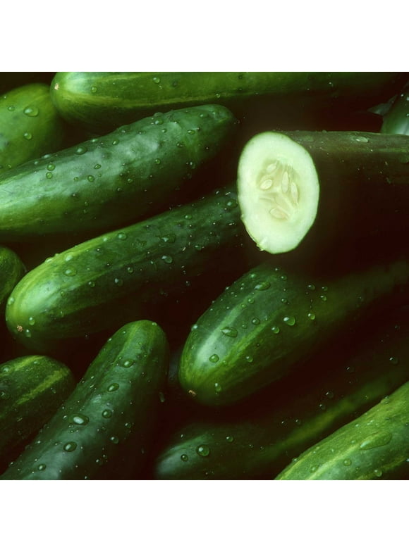 Cucumber Seeds in Seed Gardening - Walmart.com