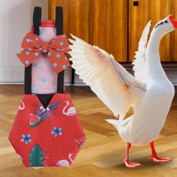 Pañales reutilizables para aves Colco Pañal de pato de pollo Rojo ...