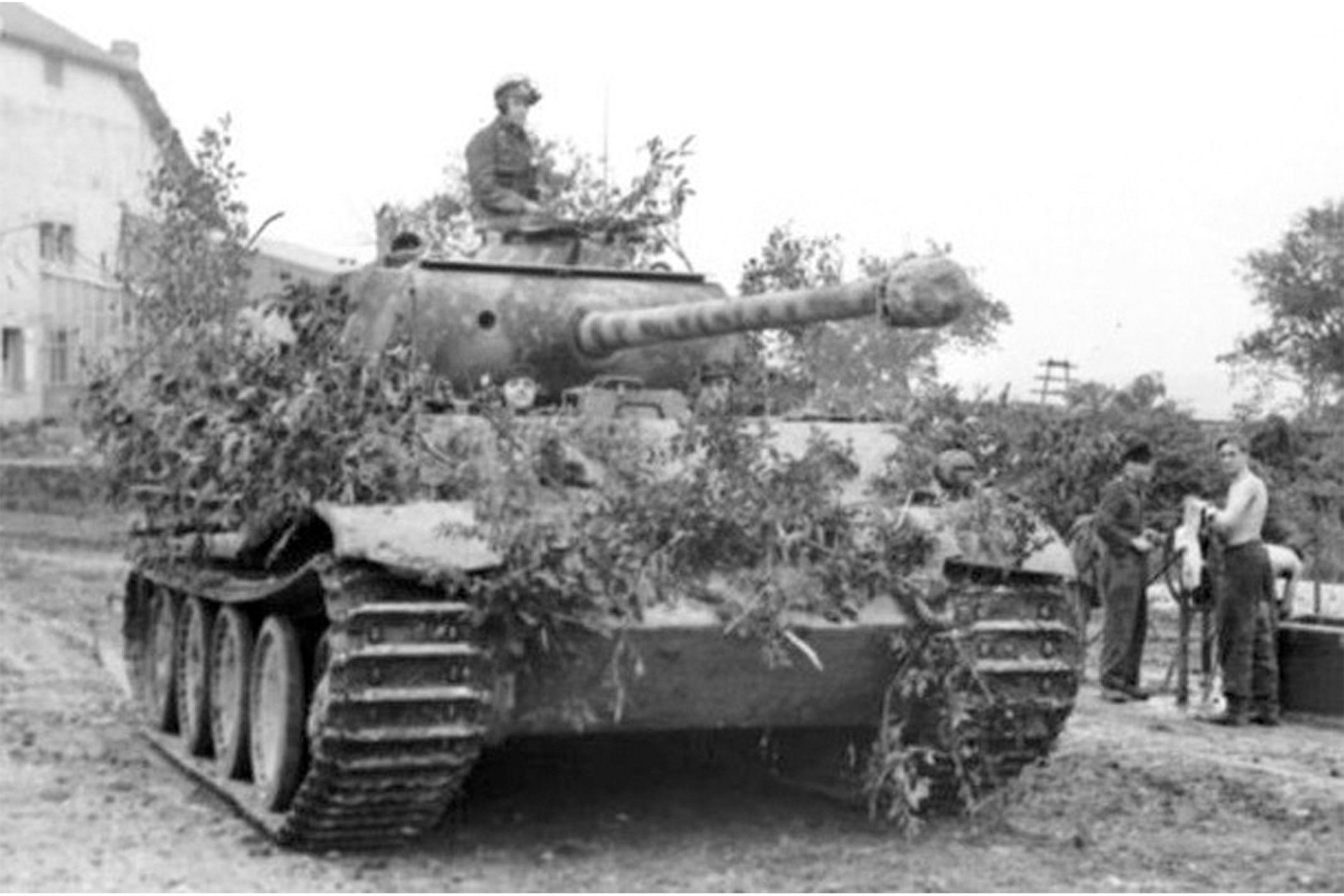 24x36 gallery poster, Panther tank tank with bush camouflage in ...