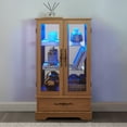 Lighted Glass Curio Display Cabinet, 2-Door Collectible Cabinet with ...