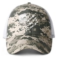 The 250th Anniversary of Freedom Eagle of the United States Baseball ...