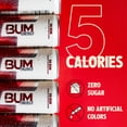 BUM Energy Dr Bum Energy Drink, 112 mg Natural Caffeine, 12 fl oz Can ...