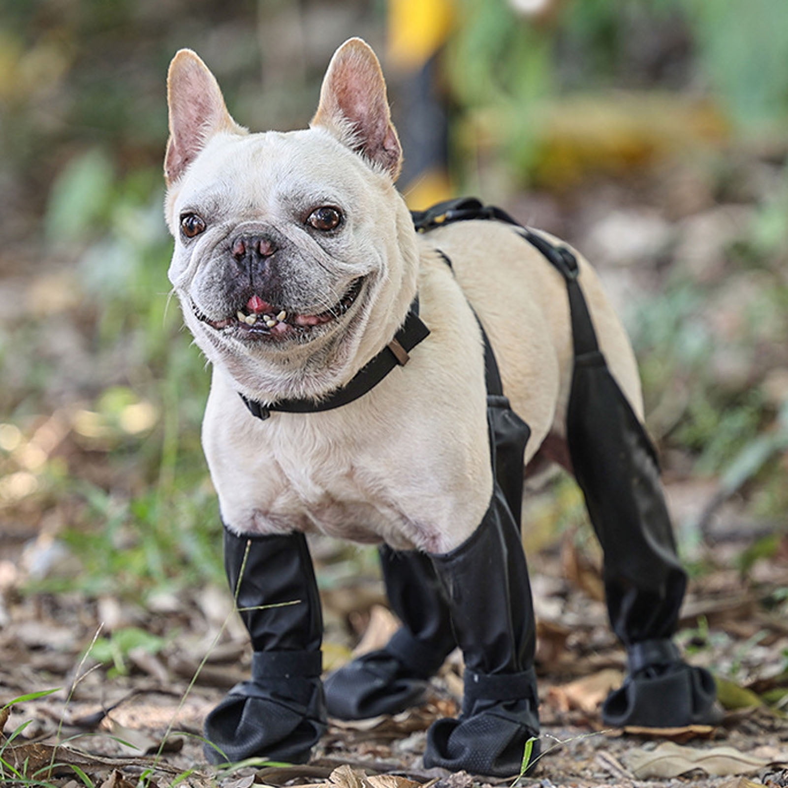 Click here for Loewten Dog Suspender Boots  Pooch Tall Dog Boots... prices