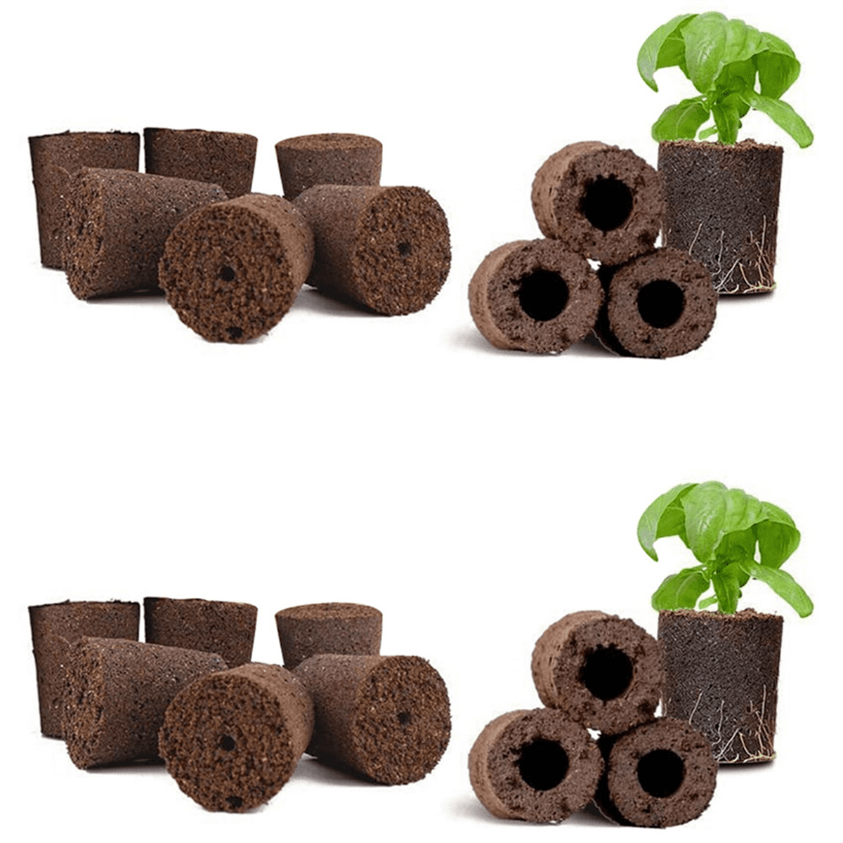 Click here for Geloo 2x Plant Grow Sponges For Garden Hydroponic... prices