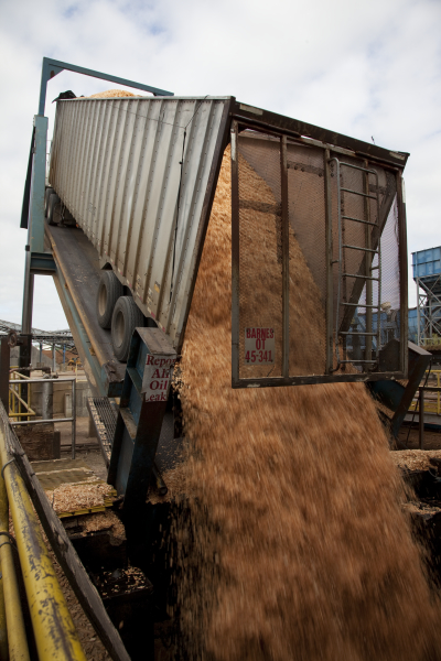 Print: The Alabama River Pulp Company And The Claiborne Mill Complex ...