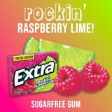 Extra Gum Rockin' Raspberry Lime Sugar Free Chewing Gum - 15 Stick ...