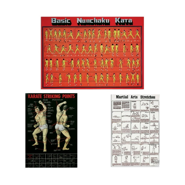 Martial Arts Wall Posters Artwork, Karate Striking Basic Nunchaku Kata Stretches Poster (SP ...