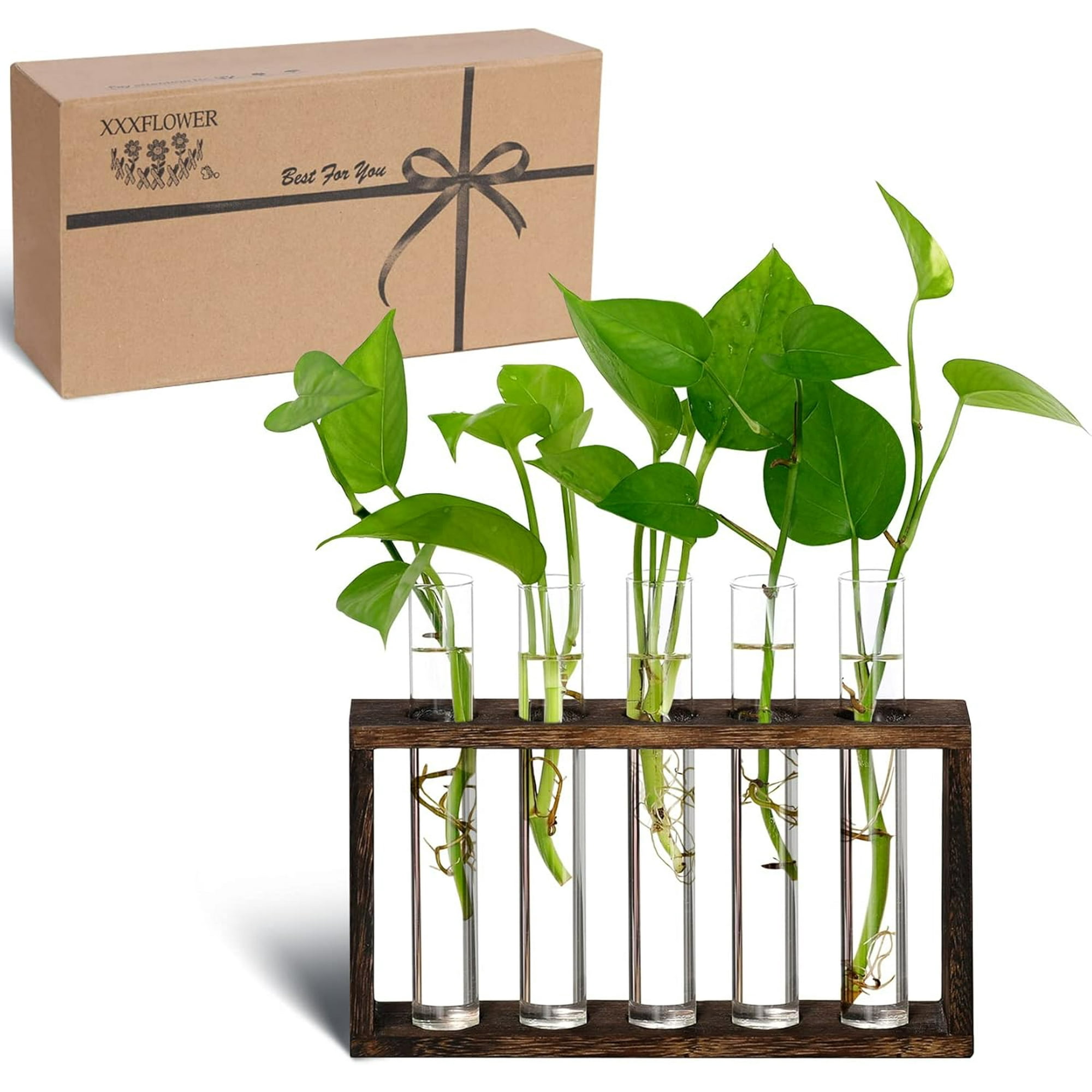 Click here for Siabc-Plant Propagation Station Terrarium With Tes... prices