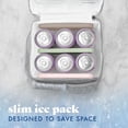 Cool Coolers by Fit + Fresh Slim Ice Packs, Reusable, 4-Pack, Multi ...