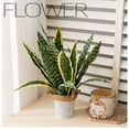 Artificial Snake Plant Faux Greenery Pvc Fake Plants For Wedding And ...