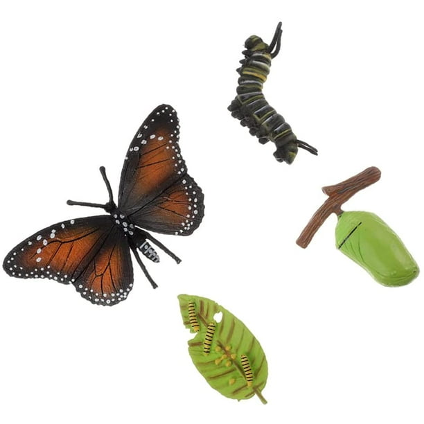 3 Sets Life Cycle Figurines of Butterflies Insect Figurines Plastic ...