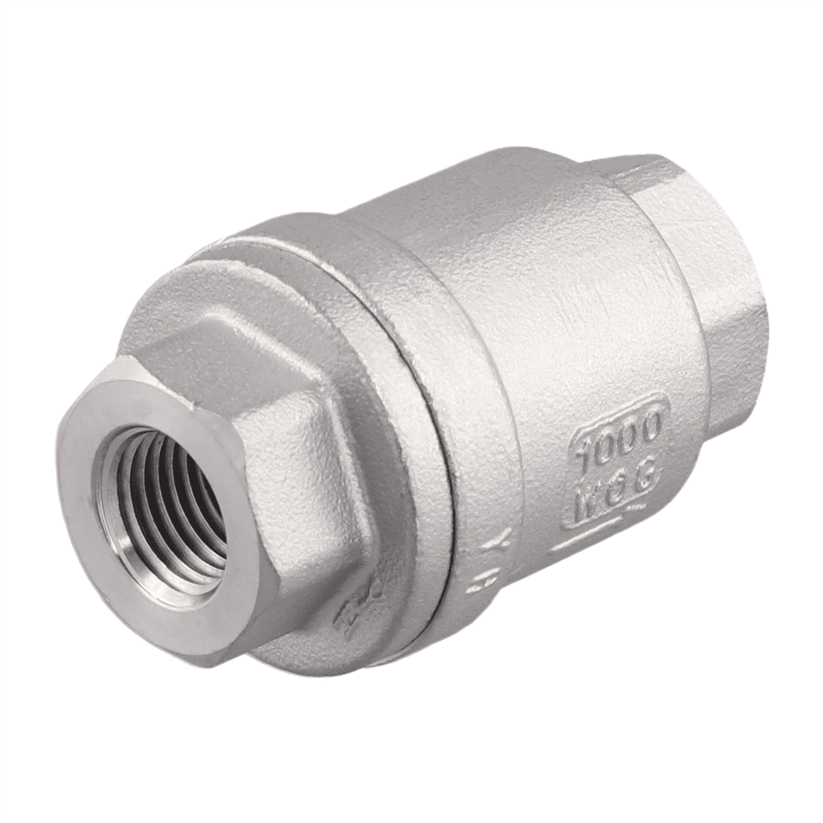 304 Stainless Steel Vertical Check Valve H12 Water Pump 1/4 Inch Water ...