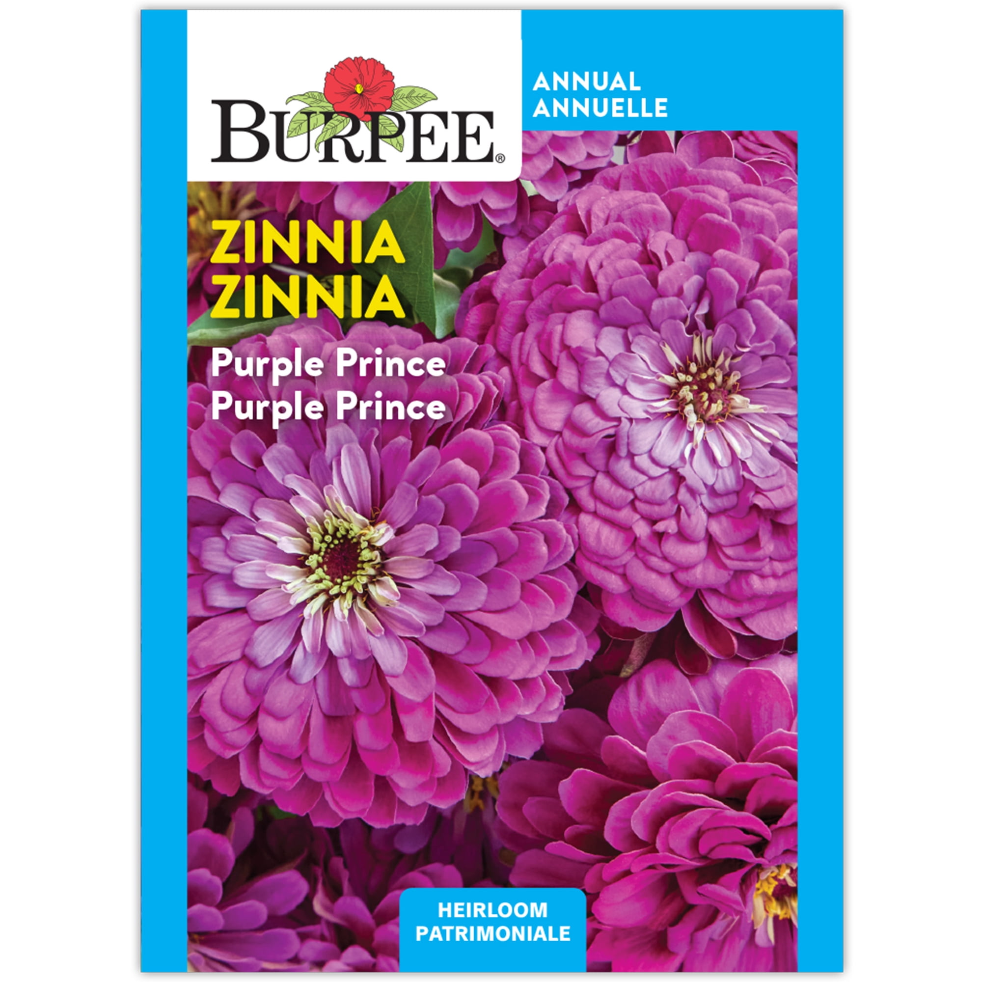 Click here for Burpee Canada Burpee Purple Prince Zinnia prices